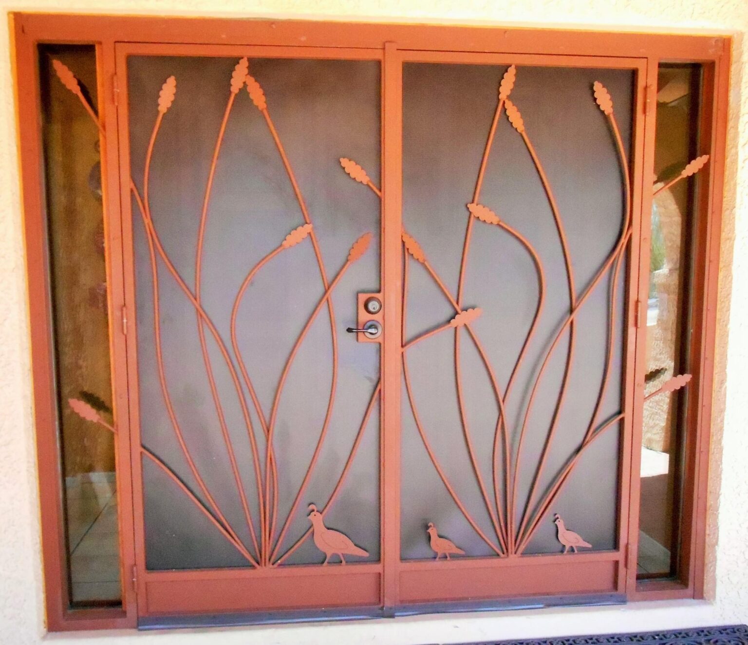 The #1 Tucson Security Doors & Security Screen Doors - Affordable Fence ...